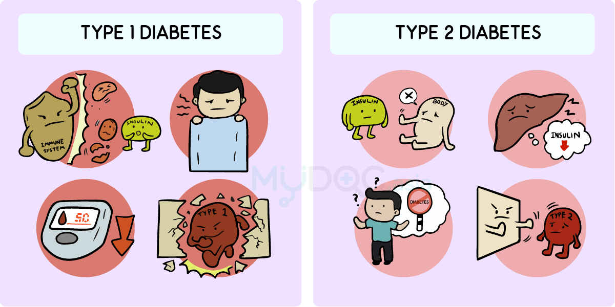 Pemakanan untuk Pesakit Diabetes | Erufu Care